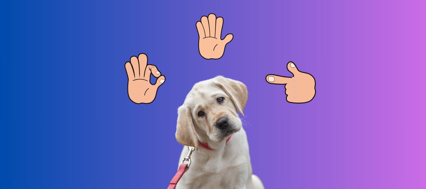 Basic Dog Obedience Hand Signals